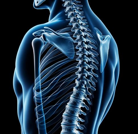 Thoracic spine lateral view｜Tools for RadTech