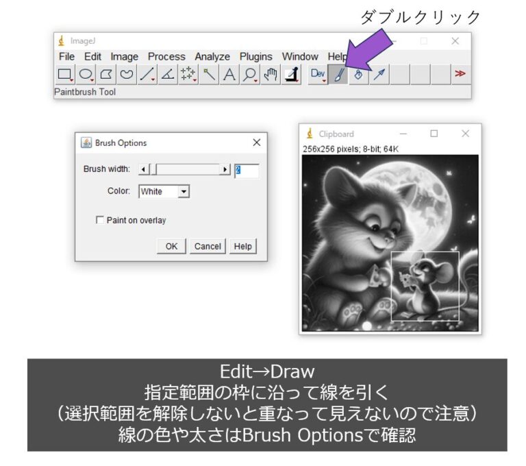 ImageJの使い方 2 ーEditメニュー編ー｜Tools for RadTech