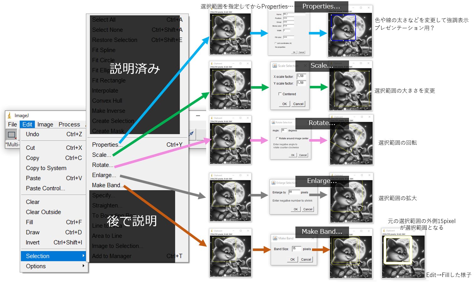 ImageJの使い方 2 ーEditメニュー編ー｜Tools for RadTech