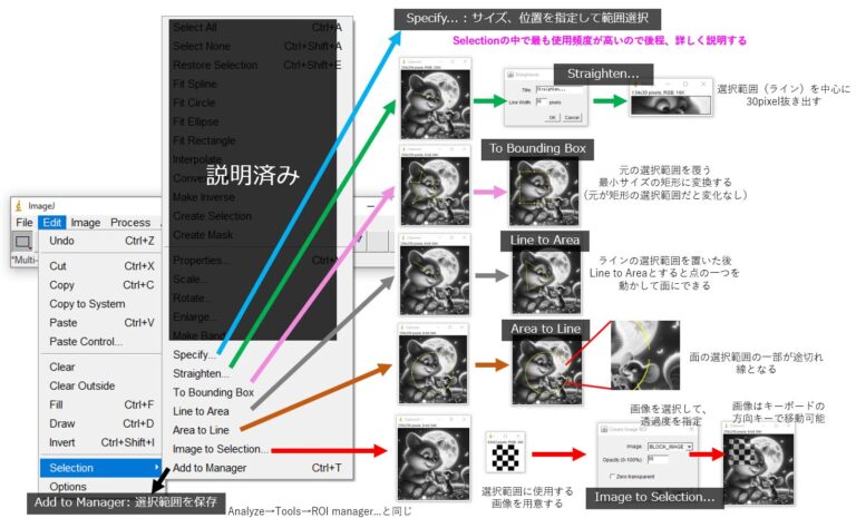 ImageJの使い方 2 ーEditメニュー編ー｜Tools for RadTech