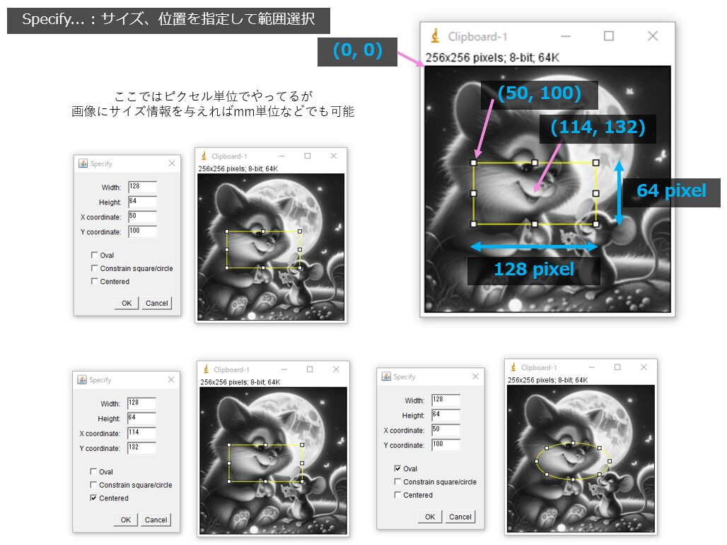 ImageJの使い方 2 ーEditメニュー編ー｜Tools for RadTech