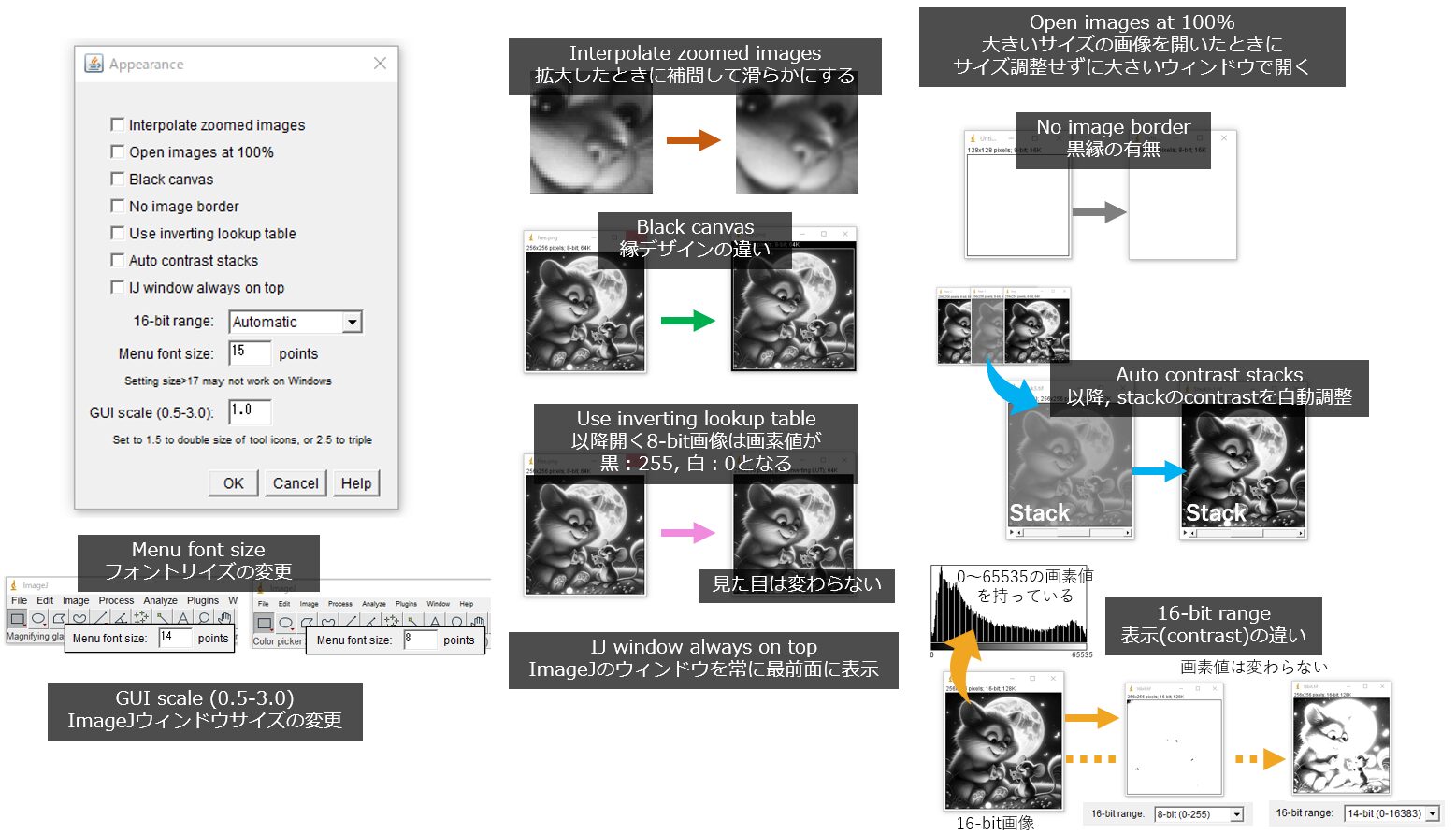 ImageJの使い方 2 ーEditメニュー編ー｜Tools for RadTech