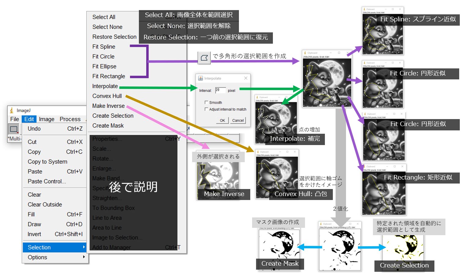 ImageJの使い方 2 ーEditメニュー編ー｜Tools for RadTech