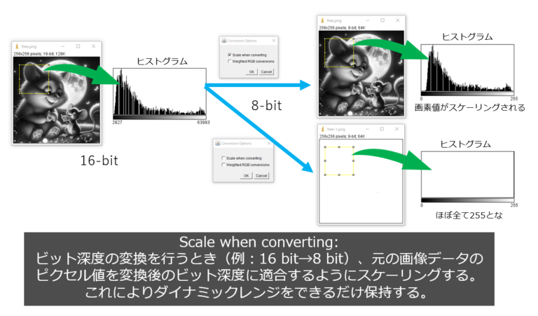 ImageJの使い方 2 ーEditメニュー編ー｜Tools for RadTech