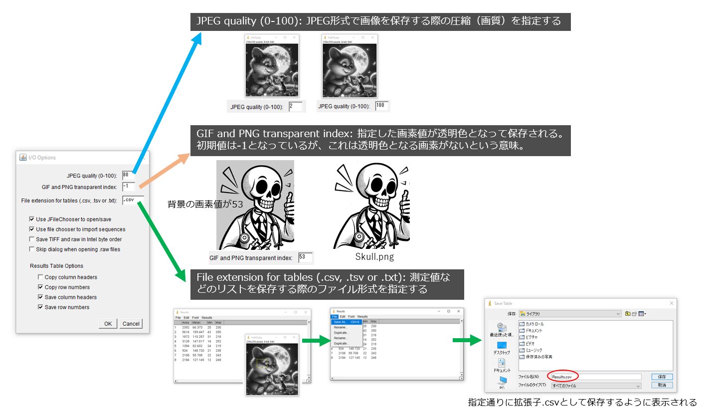 ImageJの使い方 2 ーEditメニュー編ー｜Tools for RadTech