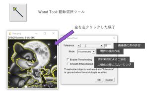 ImageJの使い方 2 ーEditメニュー編ー｜Tools for RadTech