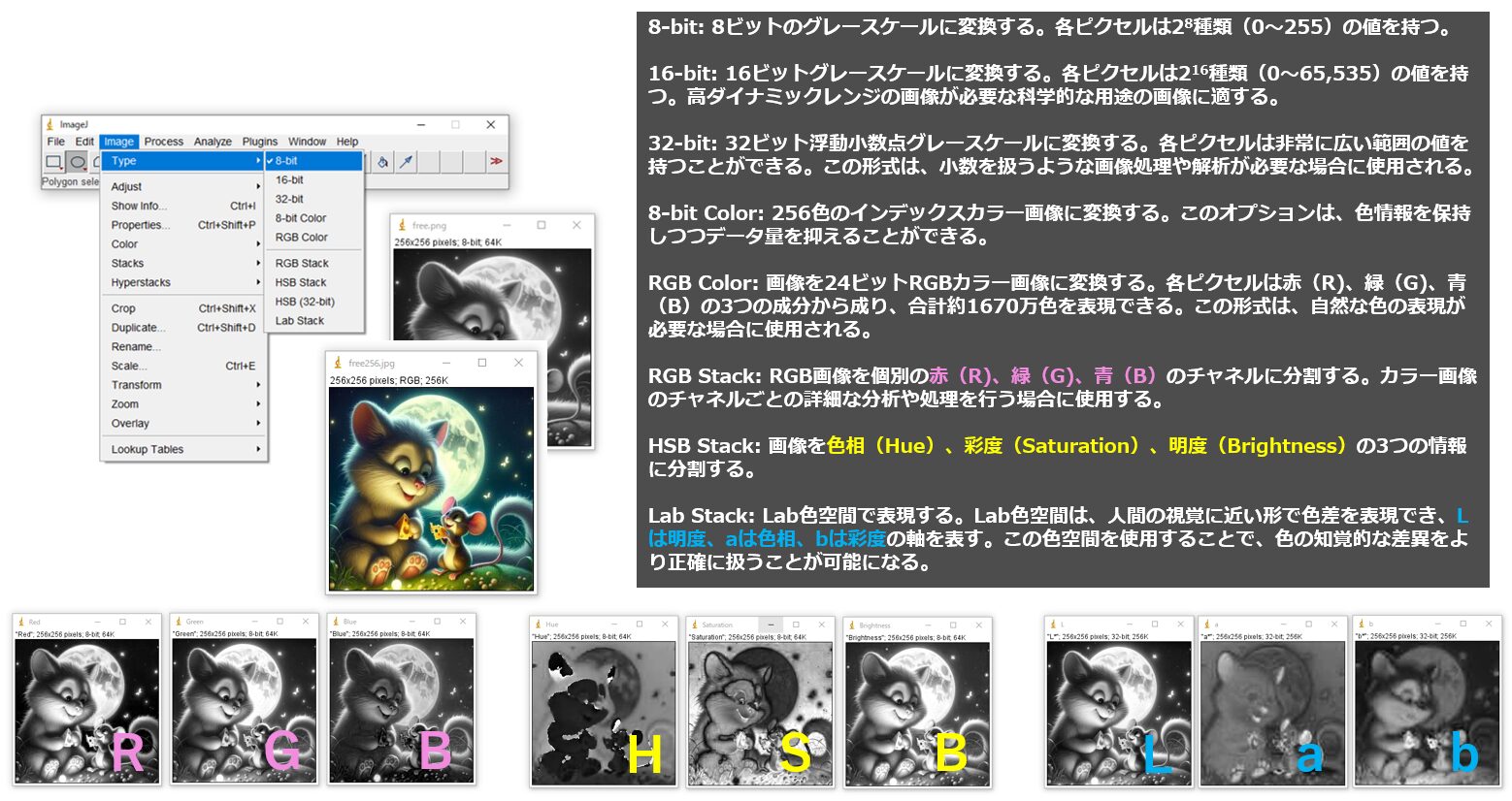 ImageJの使い方 3 ーImageメニュー編ー｜Tools for RadTech