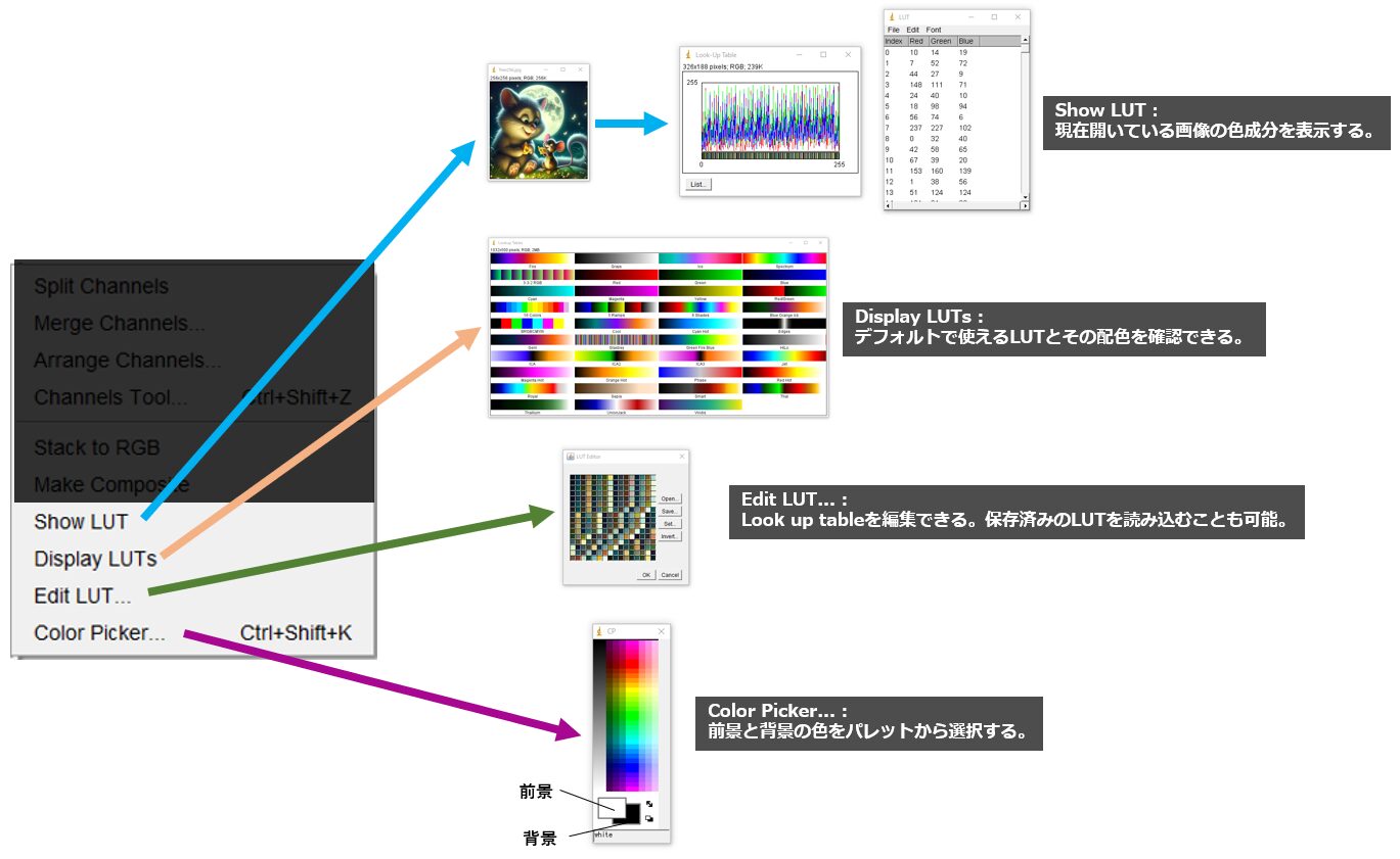 ImageJの使い方 3 ーImageメニュー編ー｜Tools for RadTech