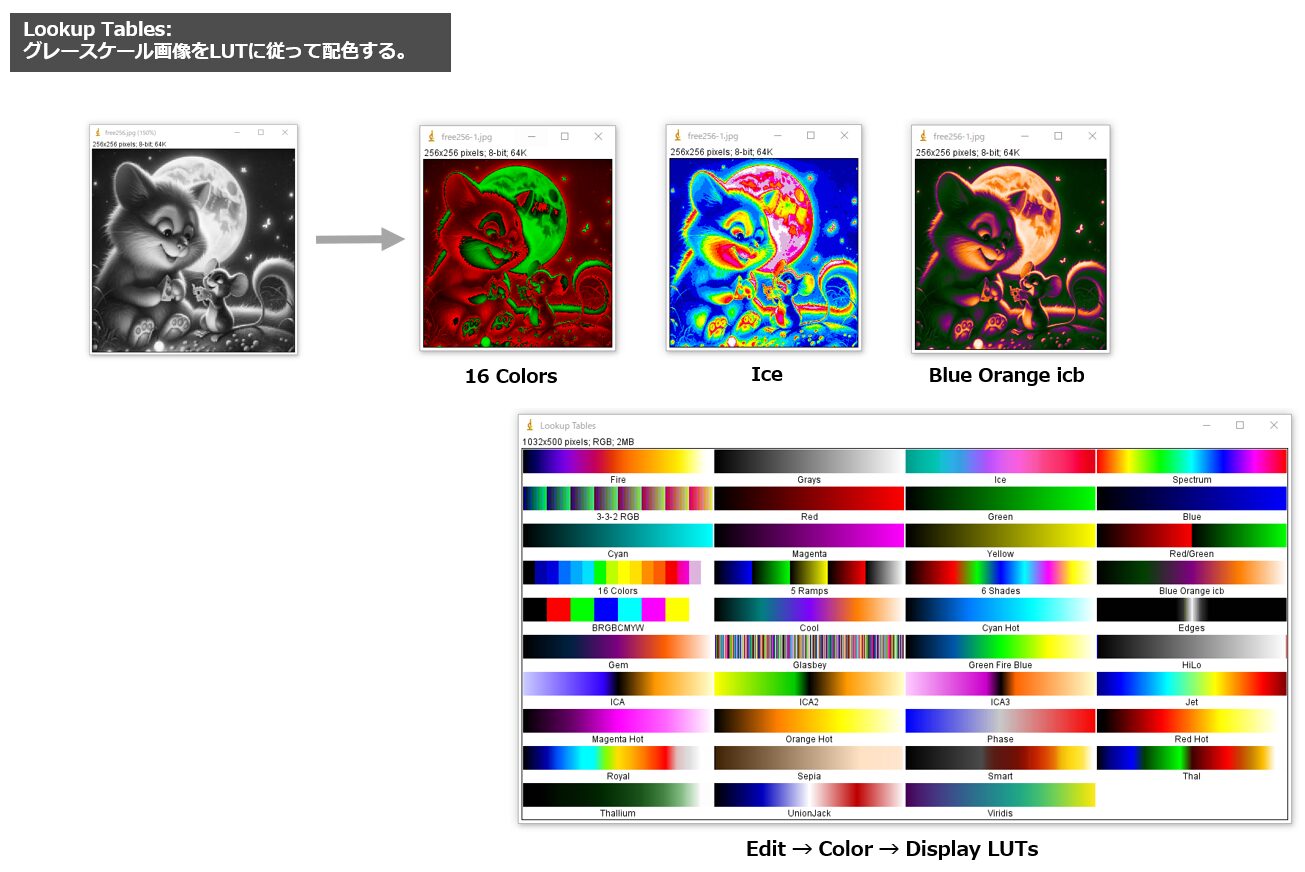 ImageJの使い方 3 ーImageメニュー編ー｜Tools for RadTech