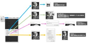 ImageJの使い方 3 ーImageメニュー編ー｜Tools for RadTech