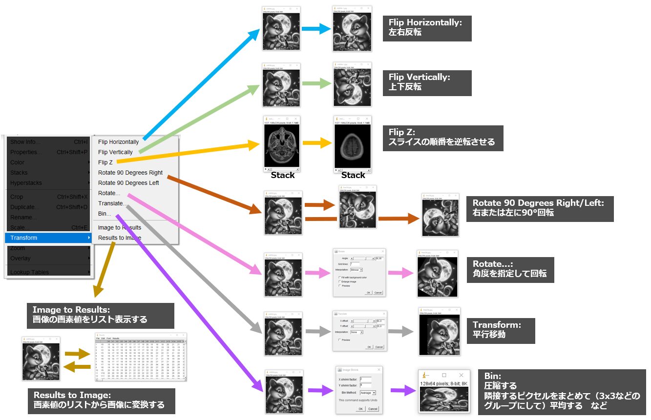 ImageJの使い方 3 ーImageメニュー編ー｜Tools for RadTech