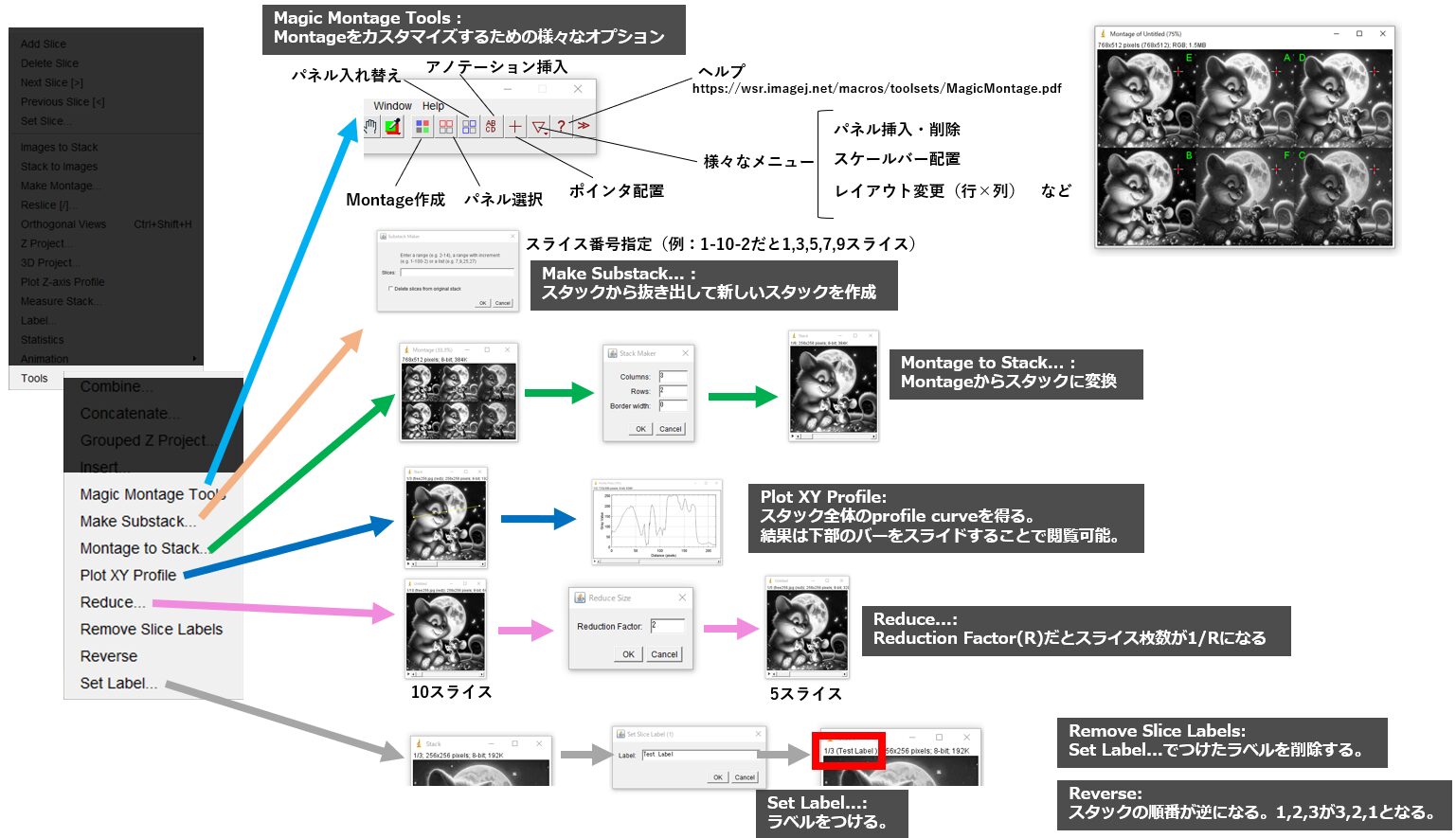 ImageJの使い方 3 ーImageメニュー編ー｜Tools for RadTech
