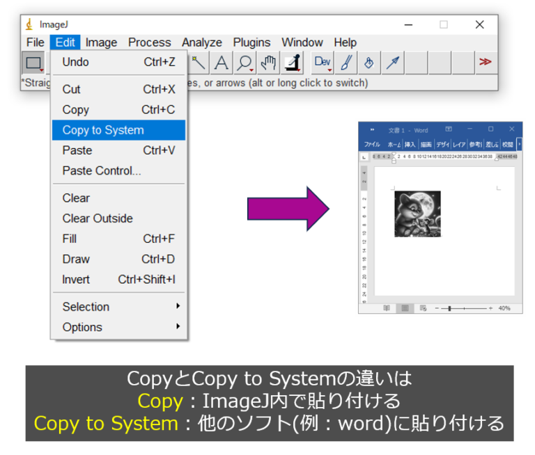 ImageJの使い方 2 ーEditメニュー編ー｜Tools for RadTech