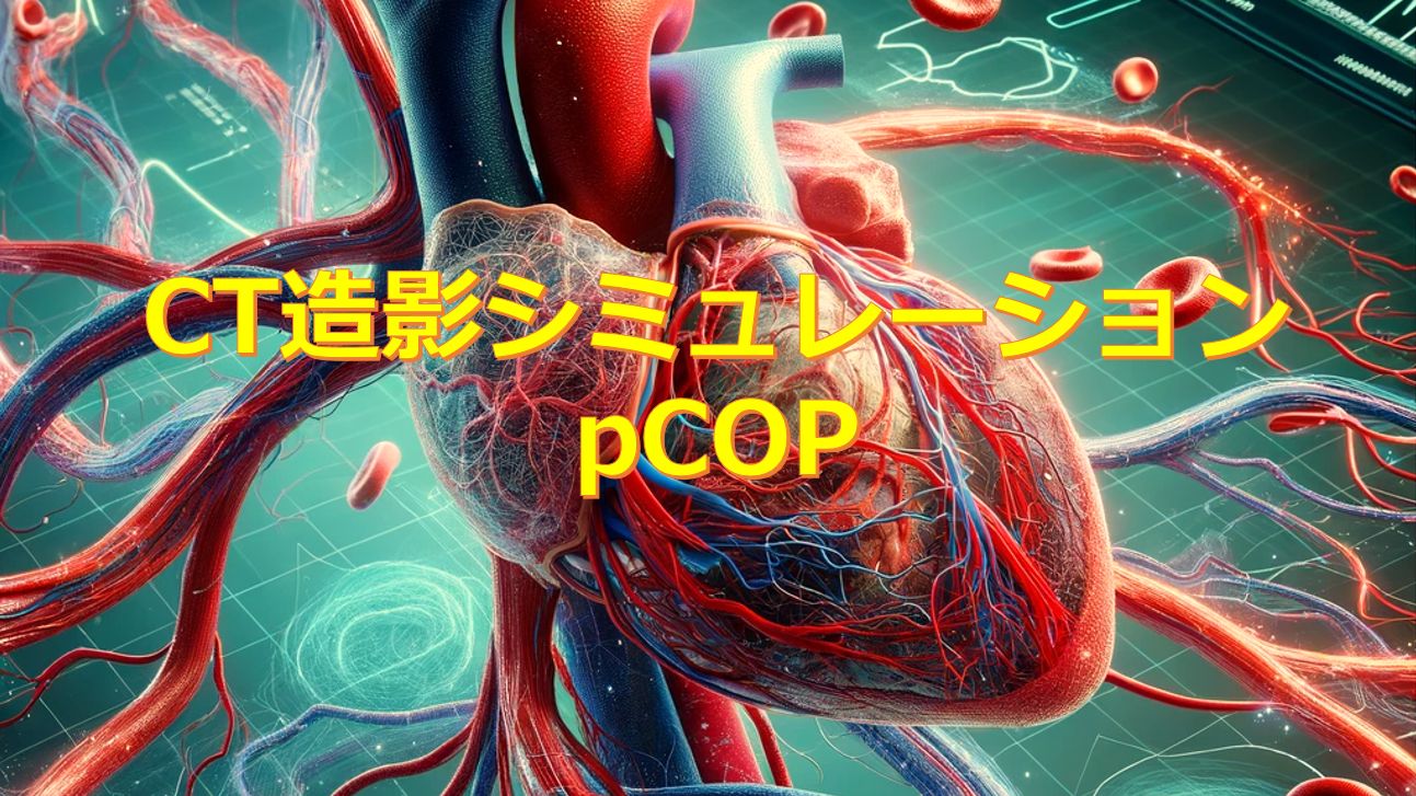 CT造影シミュレーションpCOP｜Tools for RadTech